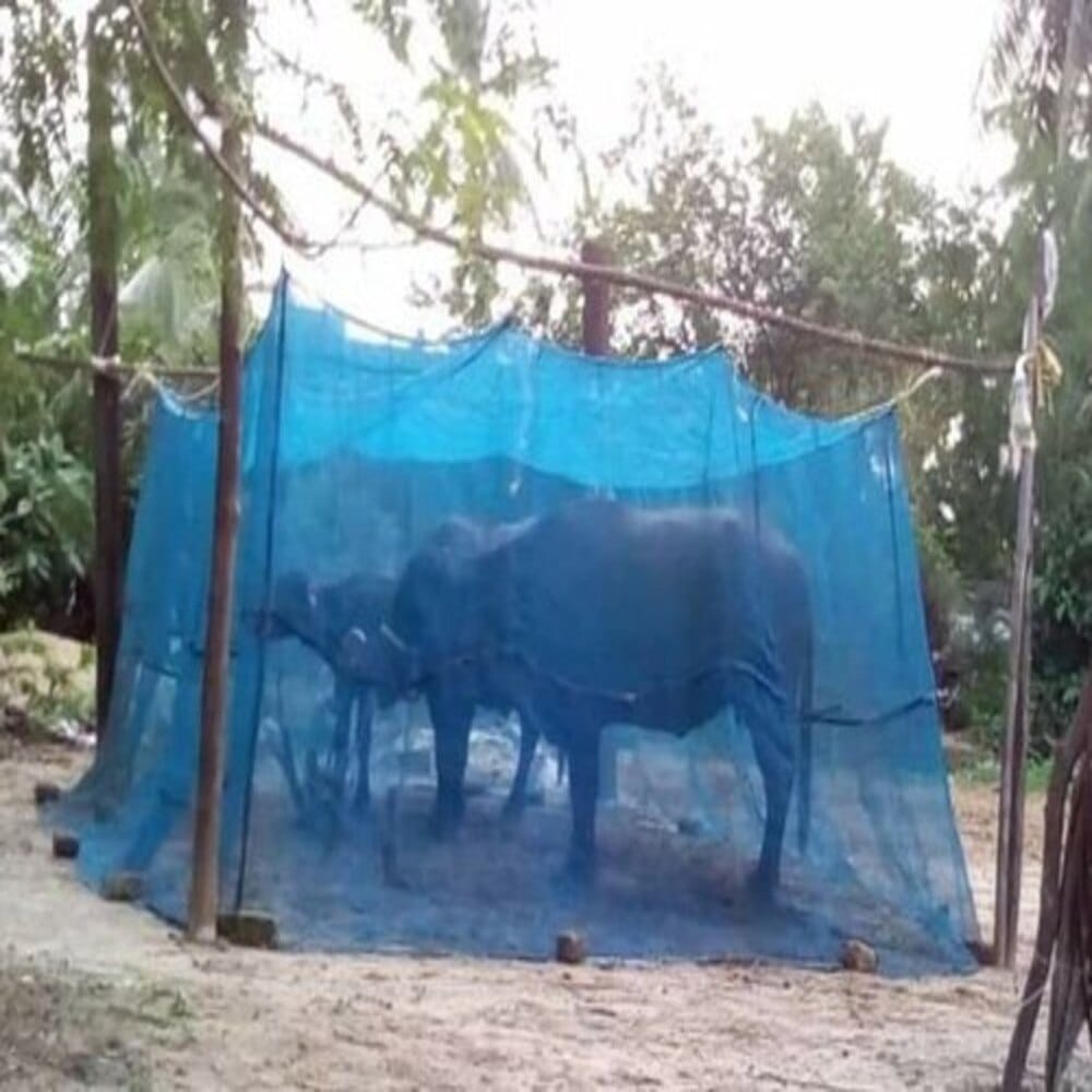 Bonafide Minar | Jute Nets for Threshing & Farming Solutions